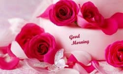Super Sweet Good Morning Messages For Your BAE Will Make His Day!