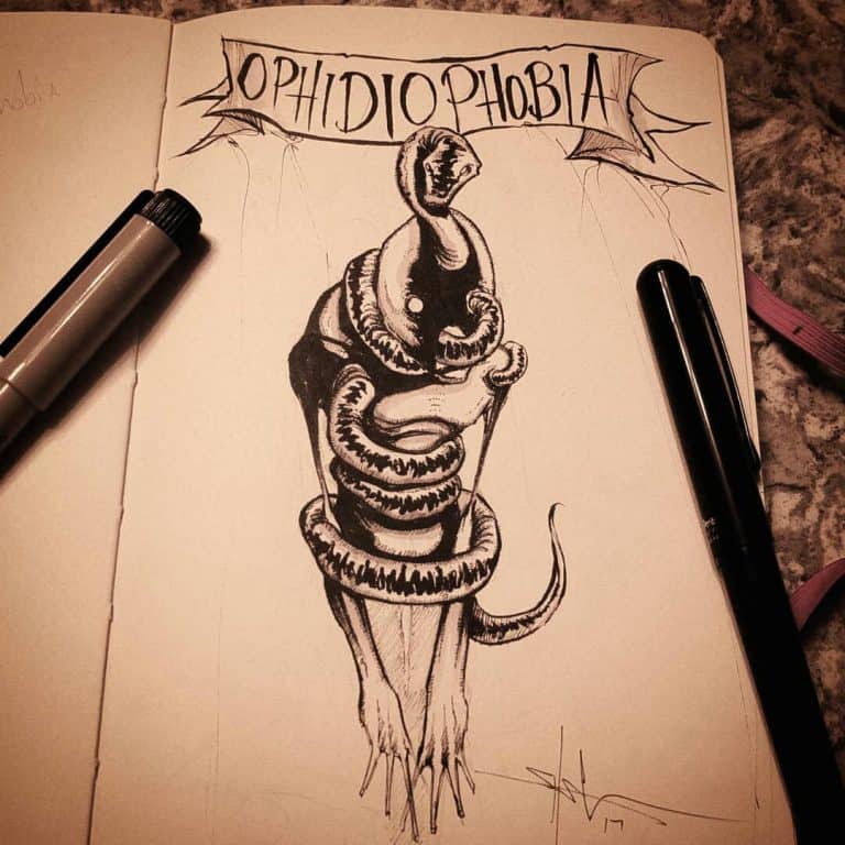 This Artist Brilliantly Illustrates The List Of Phobias That We Experience!