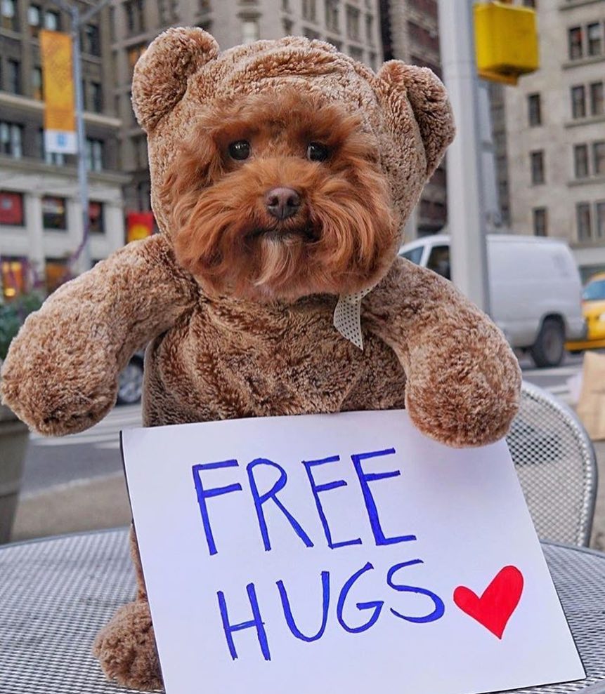 Happy Animals - Happy Animals That Can Cheer You Up Instantly