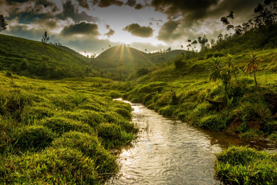 Munnar Hill Station - Munnar is Every Photographer's Muse
