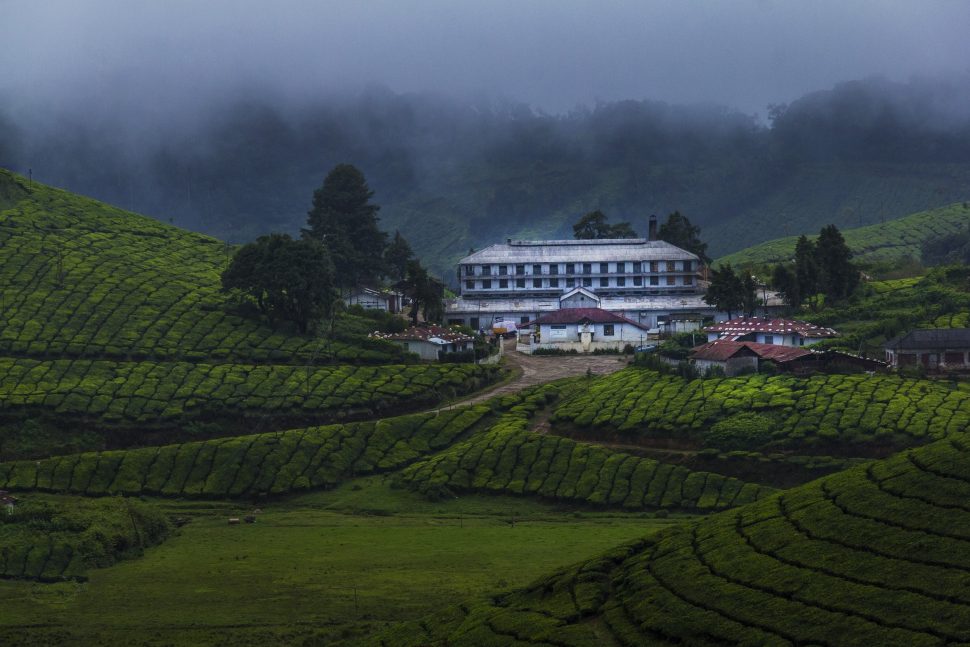 Munnar Hill Station - Munnar is Every Photographer's Muse