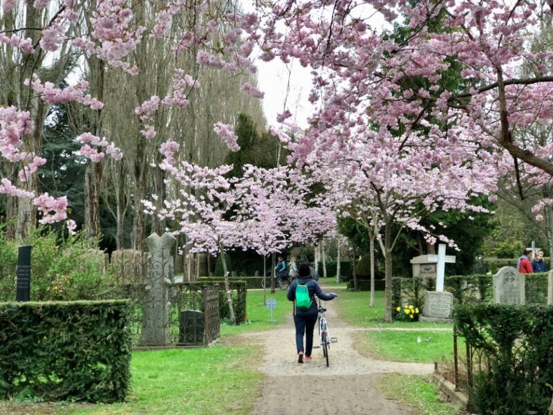 Amazing Concept of Socializing in Cemeteries Denmark