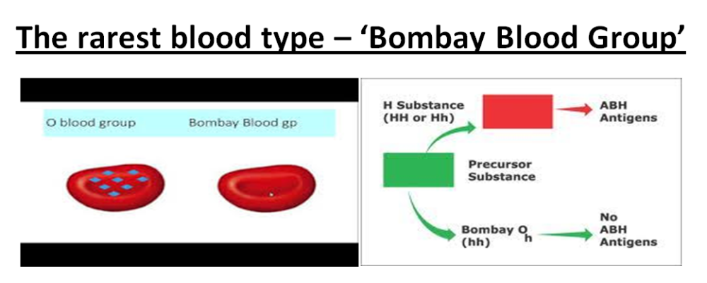 What Do You Know About the Rare HH Blood Group?