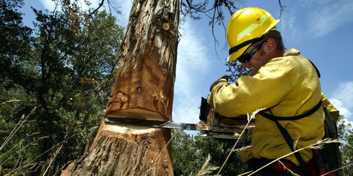 What You Should Know About Deadliest Jobs In The World?