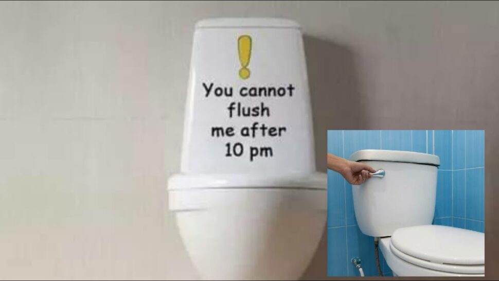 Never Flush Tank In Switzerland After 10 Pm, It's Illegal