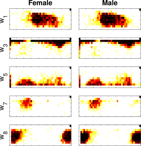 Why, When Asking About Color Choices Differ Between Men And Women?